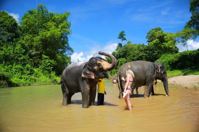 Khao Lak: Khao Sok National Park Overnight Treehouse Trip - Lunch and Relaxation