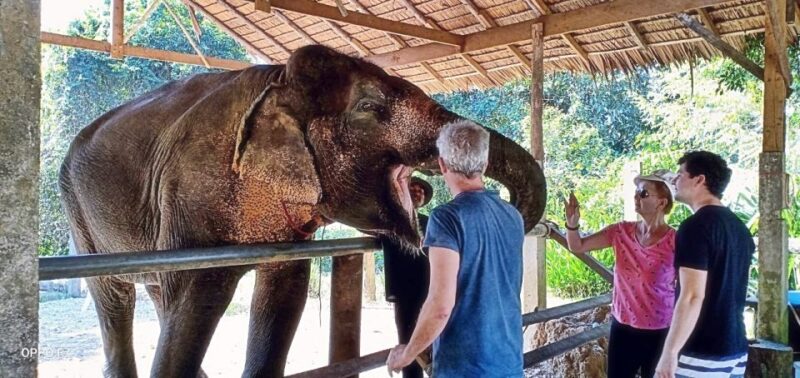 Khao Lak: Khao Sok Private Elephant Daycare & Bamboo Rafting - Key Points