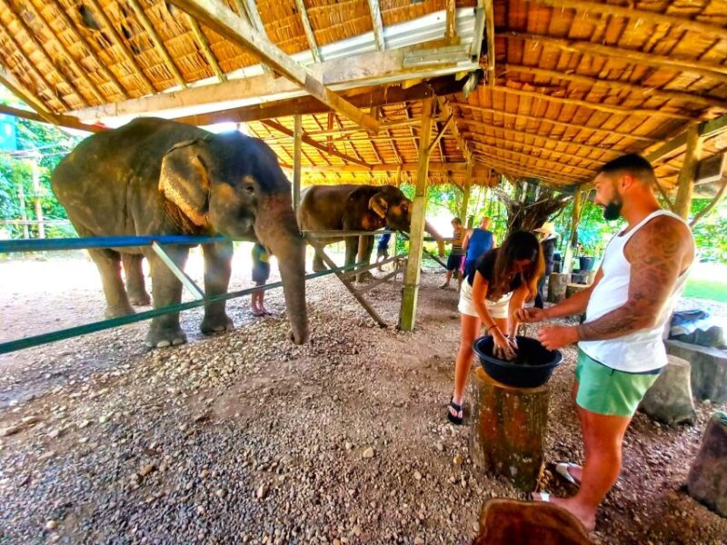 Khao Lak: Khao Sok Private Elephant Daycare & Bamboo Rafting - Authentic Experiences and Genuine Care