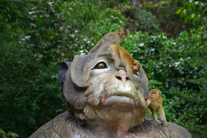 Khao Lak: Khao Sok Private Elephant Daycare & Bamboo Rafting - The Sum Up