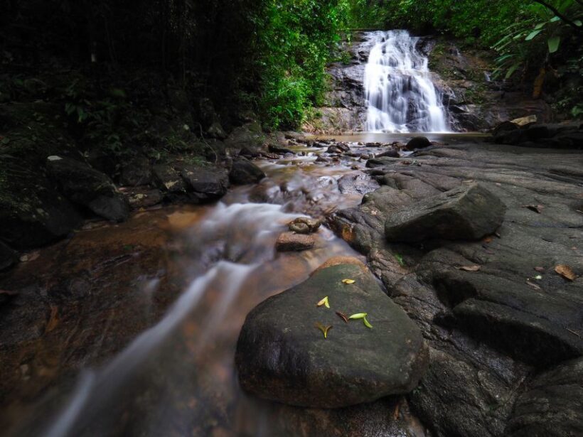 Khao Lak: Little Amazon Canoe Ride & Tam Nang Waterfall Tour - An In-Depth Look at the Tour Experience