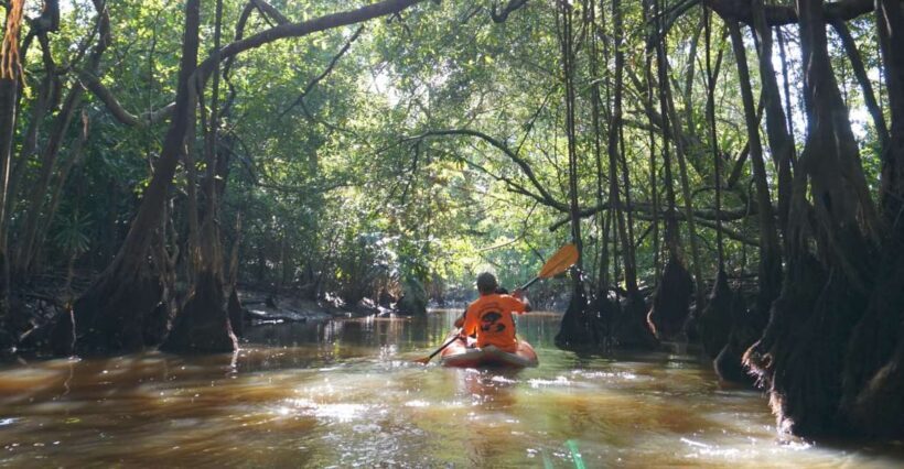 Khao Lak: Little Amazon Canoe Ride & Tam Nang Waterfall Tour - Who This Tour Is Best For