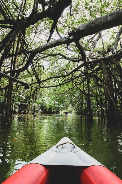 Khao Lak: Little Amazon Canoe Ride & Tam Nang Waterfall Tour - The Sum Up