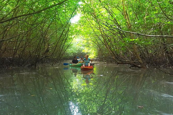 Khao Lak Mangrove Explorers - Key Points