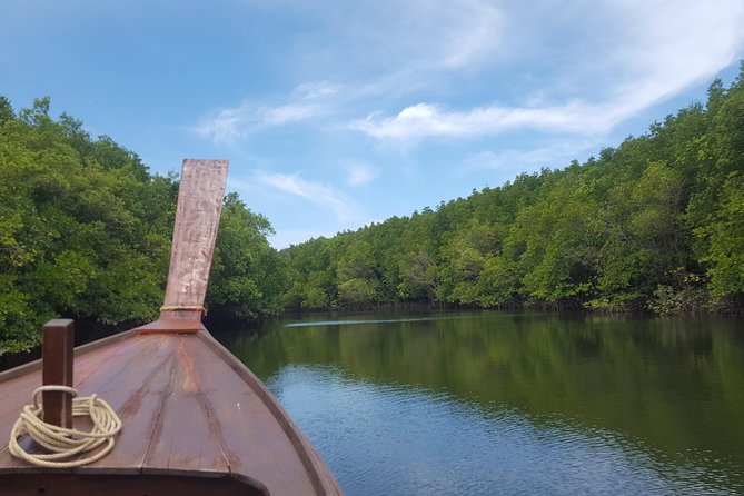 Khao Lak Mangrove Explorers - The Itinerary Breakdown