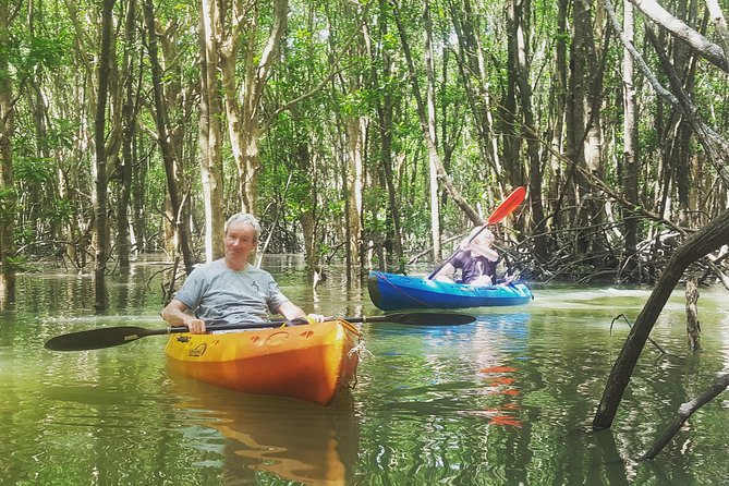 Khao Lak Mangrove Explorers - The Sum Up: Who Should Consider This Tour?