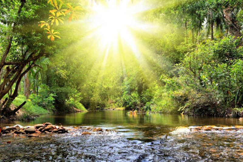 Khao Lak: Raft Expedition & Sea Turtle Conservation Center - Who Will Love This Tour?