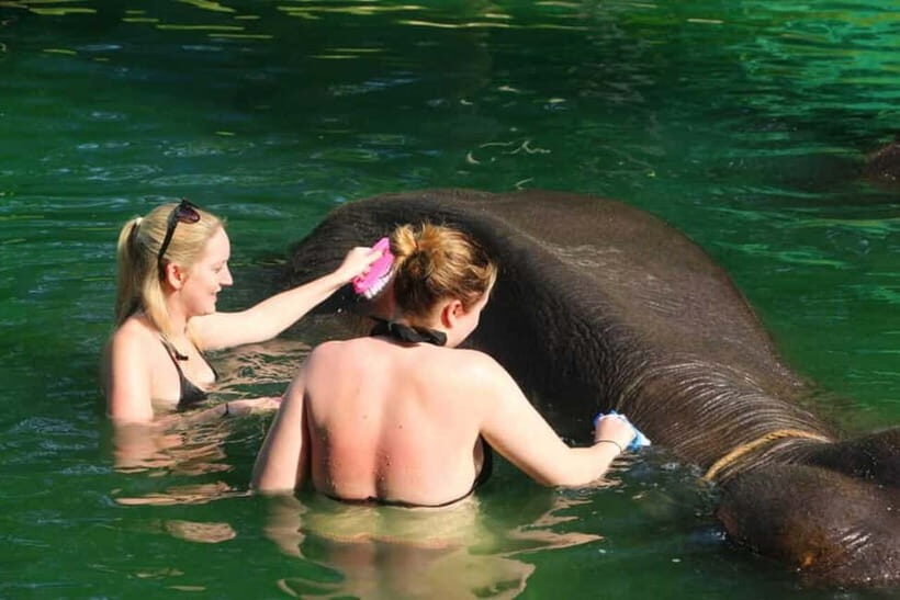 Khao Lak: Rafting, Elephant Bathing & Sea Turtle Center Tour - FAQ