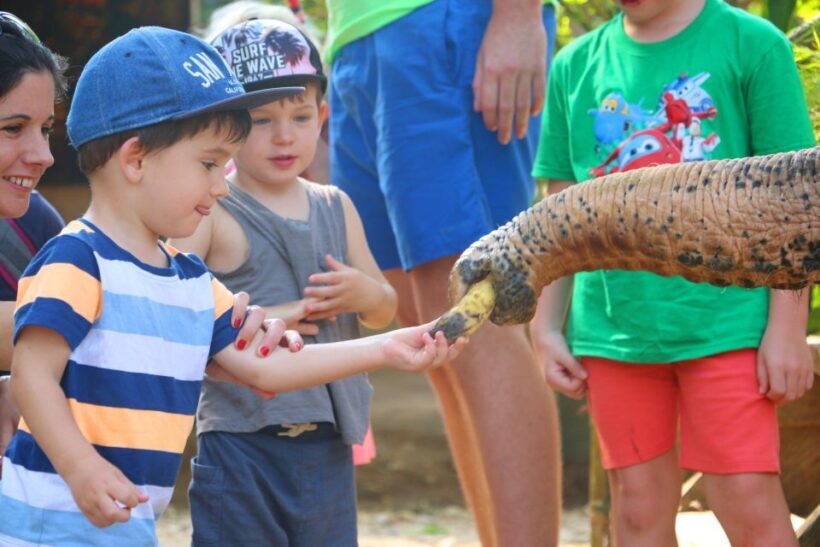 Khao Lak: Rafting, Elephant Bathing & Sea Turtle Center Tour - Key Points