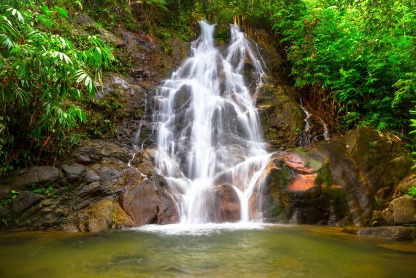 Khao Lak: Rafting, Elephant Bathing & Sea Turtle Center Tour - Authentic Experiences and Genuine Reviews