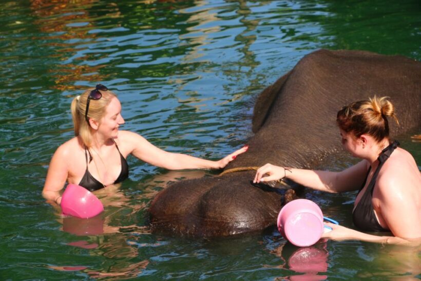 Khao Lak: Rafting, Elephant Bathing & Sea Turtle Center Tour - FAQ