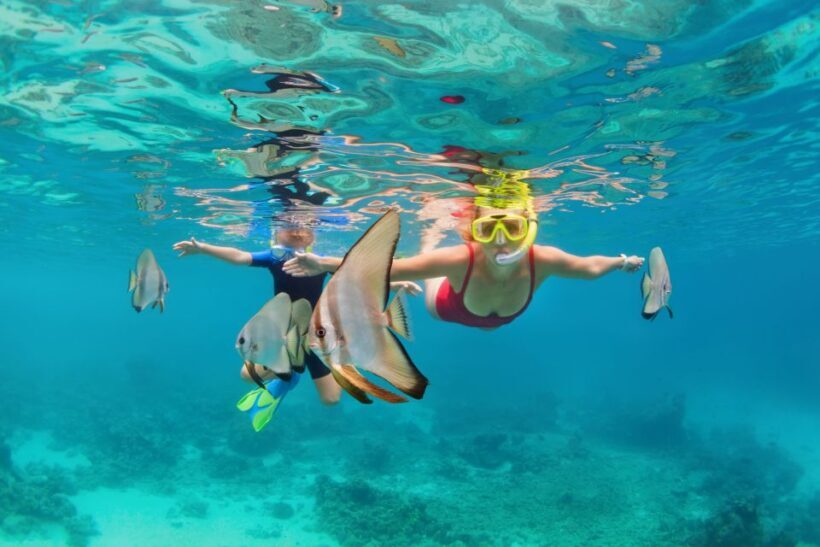 Khao Lak: Similan Islands Snorkeling Day Trip w/Meals - Key Points