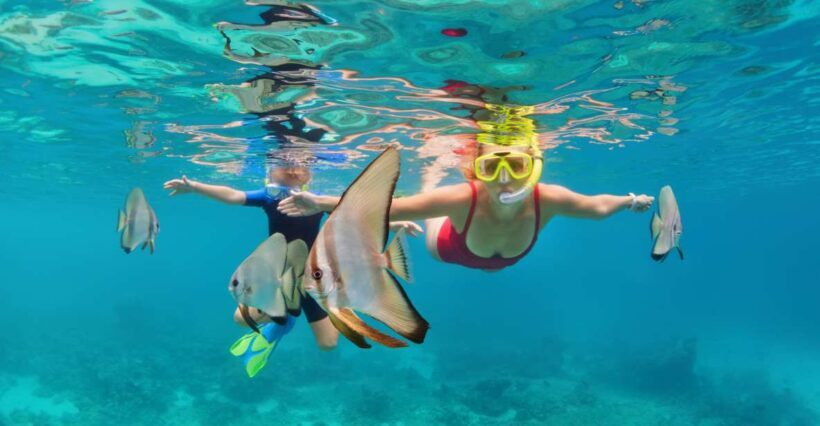 Khao Lak: Similan Islands Snorkeling Day Trip w/Meals - An In-Depth Look at the Experience