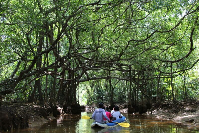 Khao Lak: Sri Phang Nga Canoe and Tam Nang Waterfall Tour - Key Points