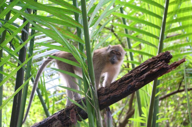 Khao Lak: Sri Phang Nga Canoe and Tam Nang Waterfall Tour - Who Should Consider This Tour?