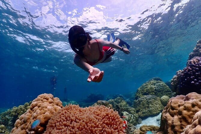 Khao Lak to Similan Islands Lazy Snorkeling by Speedboat - The Value of This Tour