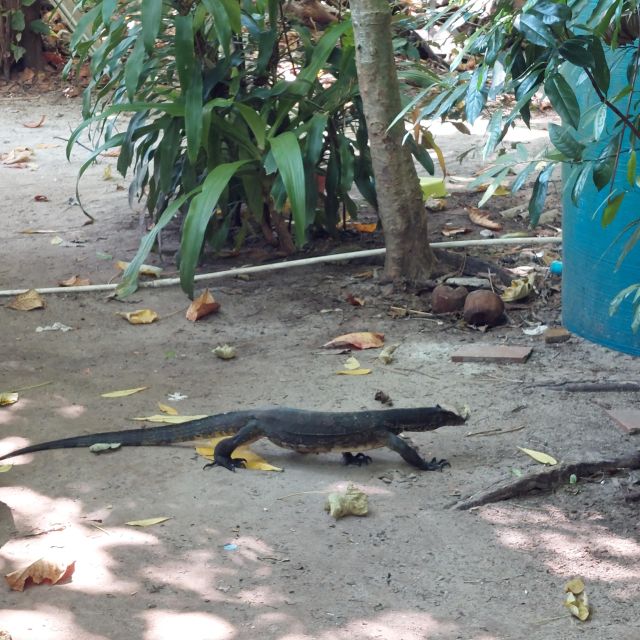 Khao Lak: Traditional boat to Phang Nga Bay and Hong Island - Final Thoughts