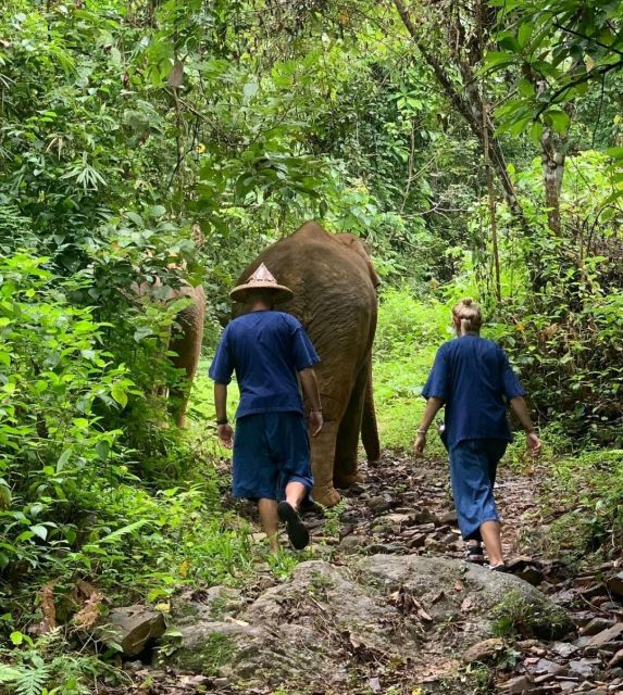 Khao Lak: Unique Dawn Ethical Elephant Sanctuary Experience - Key Points
