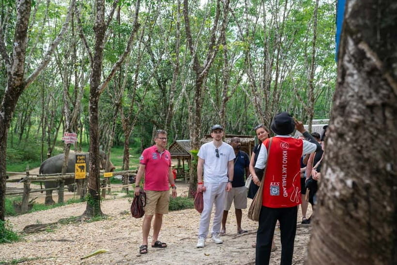 Khao Laks Best: Elephant Sanctuary,Rubber Tapping&Waterfall - Who Will Love This Tour?