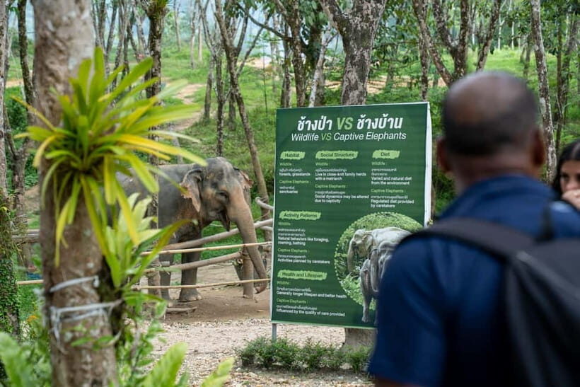 Khao Laks Best: Elephant Sanctuary,Rubber Tapping&Waterfall - FAQ