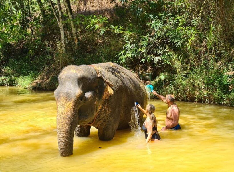 Khao Sok - Culture & Nature, Day Trip - Discovering Khao Sok’s Natural Wonders and Cultural Touchpoints