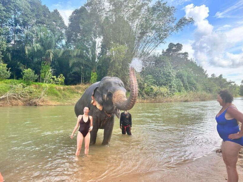 Khao Sok: Elephant Day Care, & Bamboo Rafting Day Tour - A Detailed Look at the Tour Experience