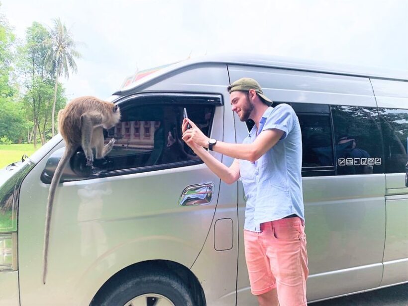 Khao Sok: Elephant Rescue Center with Lunch & Bamboo Rafting - The Sum Up