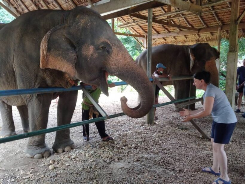 Khao Sok: Elephant Rescue Center with Lunch & Bamboo Rafting - FAQ