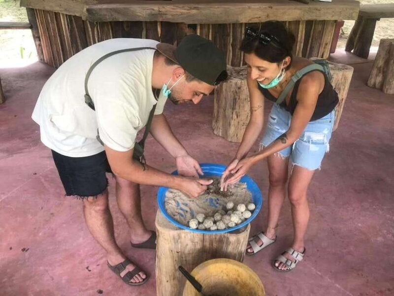 Khao Sok: Ethical Elephant Experience & Nature Walk - Who Will Love This Experience?