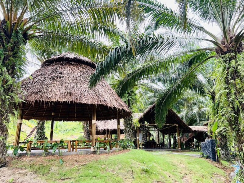 Khao Sok: Ethical Elephant Sanctuary Visit - Final Thoughts