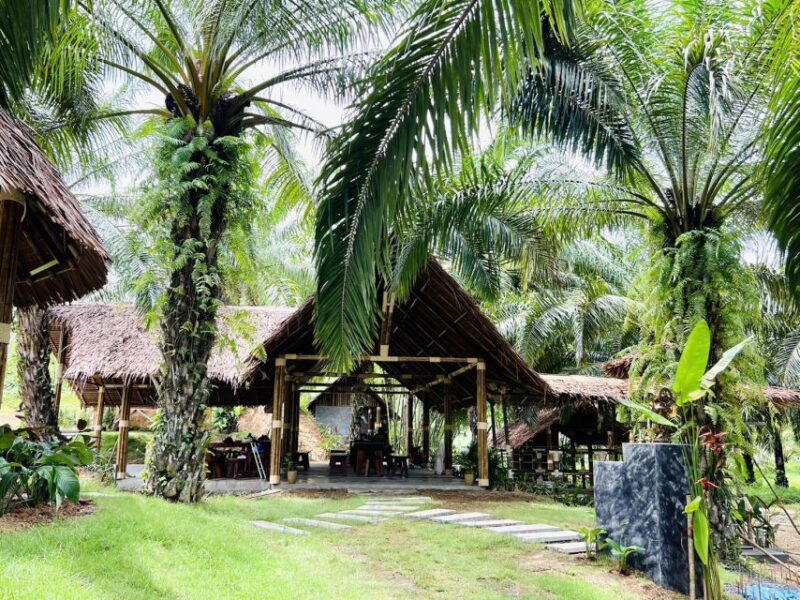 Khao Sok: Ethical Elephant Sanctuary Visit - FAQs