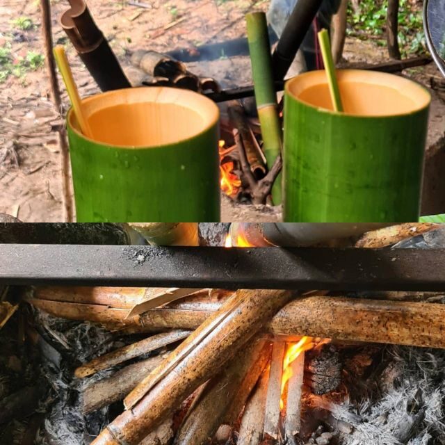 Khao Sok Jungle Day Trip - Jungle Trekking & Bamboo Rafting - Discovering the Ancient Rainforest