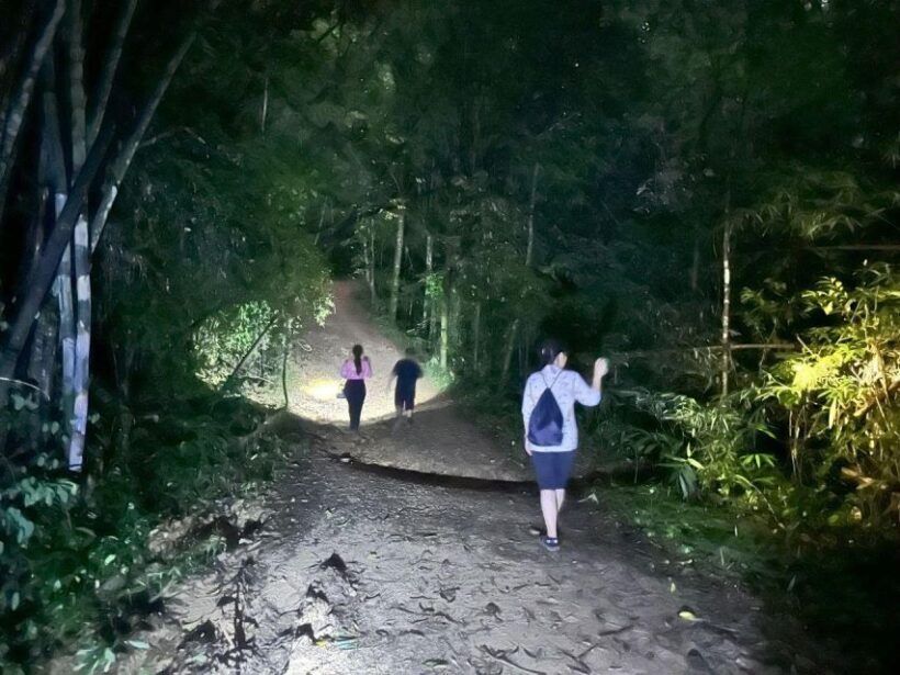 Khao Sok Jungle Sunset Wildlife Encounter & Bamboo Rafting - An In-Depth Look at the Khao Sok Sunset Wildlife & Bamboo Rafting Tour