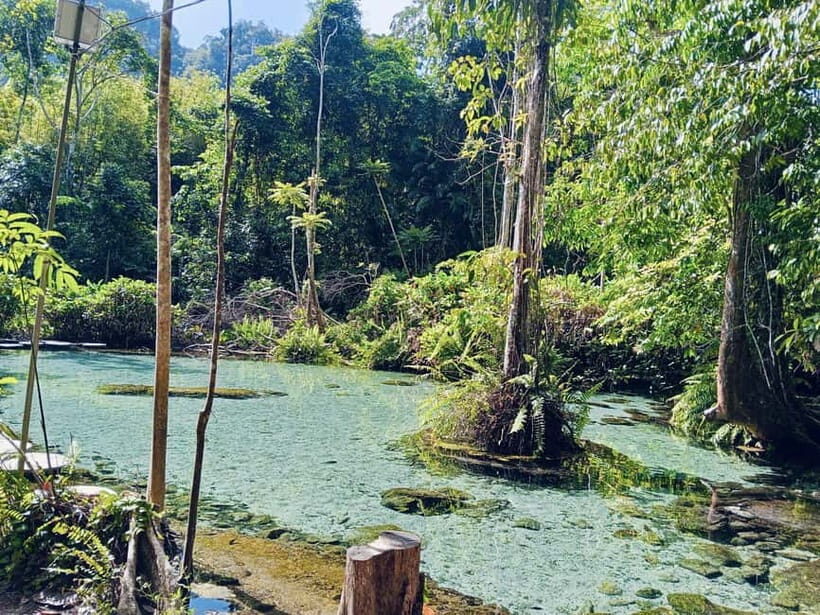 Khao Sok Lake Day Trip with Emerald Pool - Introduction: An Adventure in Thailand’s Natural Paradise