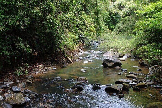 Khao Sok National Park Hiking and Bamboo Raft Tour From Khao Lak - Final Thoughts