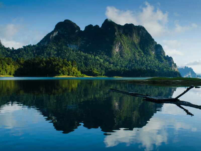 Khao Sok National Park Private Day Tour from Phuket/Khao Lak - Who Will Enjoy This Tour?
