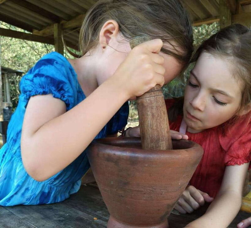 Khao Sok: Private Authentic Jungle Cooking Experience - FAQ