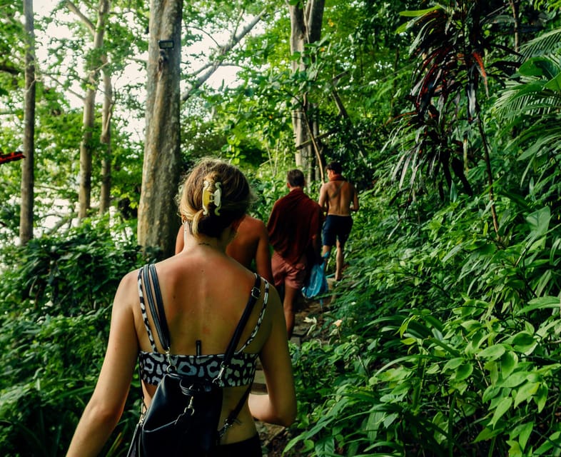 Khao Sok: Private Day Trekking, Jungle Dinner & Night Safari - Breaking Down the Experience