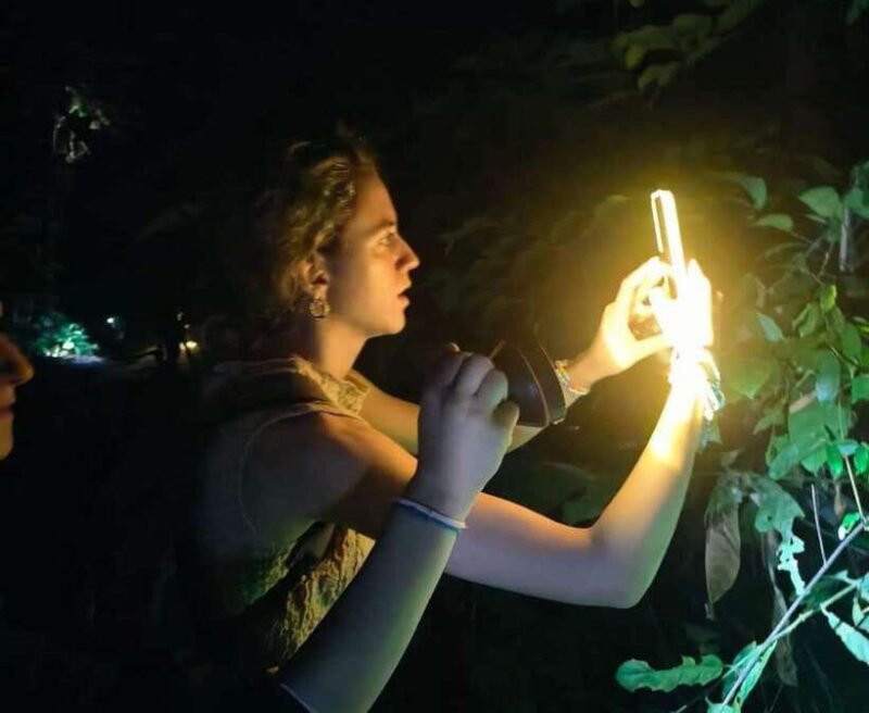 Khao Sok: Private Night Safari Adventure w/ Hotel Transfer - Key Points