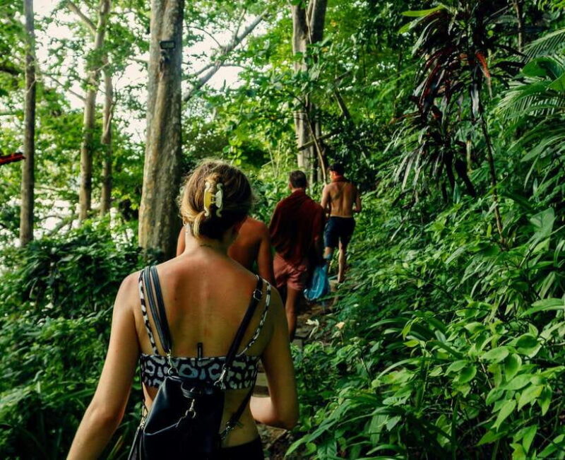Khao Sok: Private Waterfalls and Wildlife Half-Day Trek - Key Points: