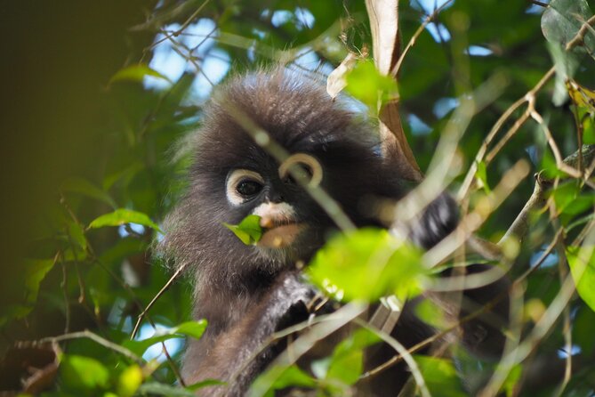Khao Sok Rainforest | Hiking & Bamboo Rafting - The Value of This Tour