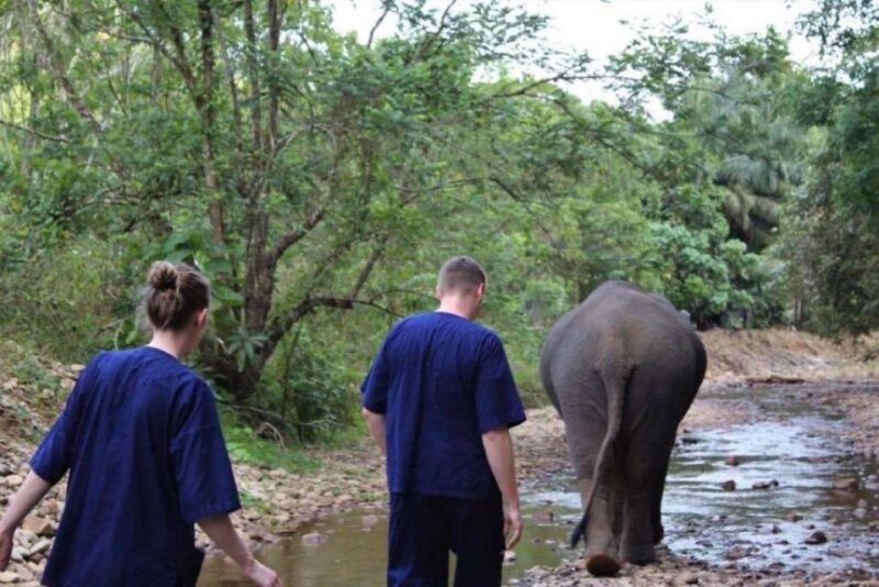 Khao Sok: Unique Dusk Ethical Elephant Sanctuary Experience - Key Points