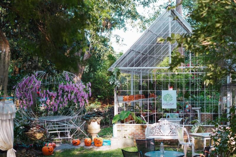 Khao Yai: All-Time Favorites Private Car Tour from Bangkok - Who Will Love This Tour?