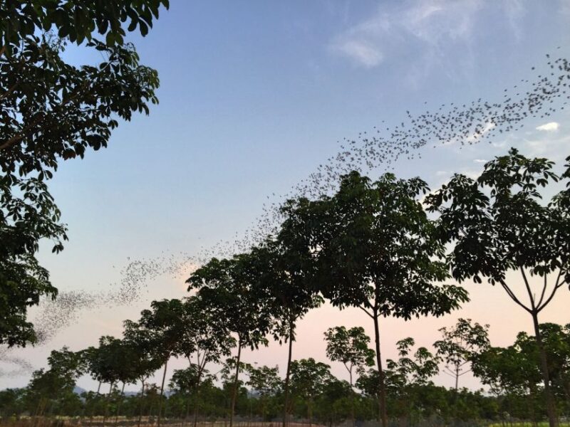 Khao Yai National Park: 2-Day Private Tour from Bangkok - What’s Included and Why It Matters