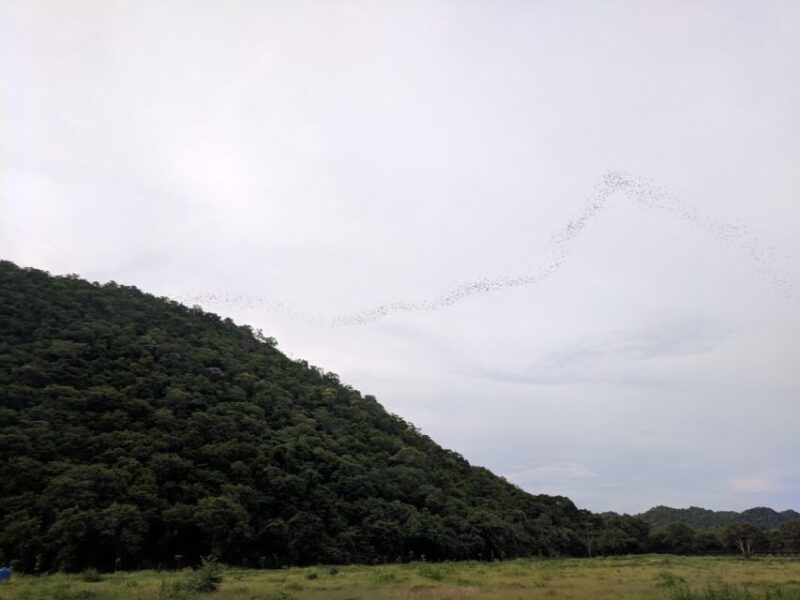 Khao Yai National Park: 2-Day Private Tour from Bangkok - Frequently Asked Questions