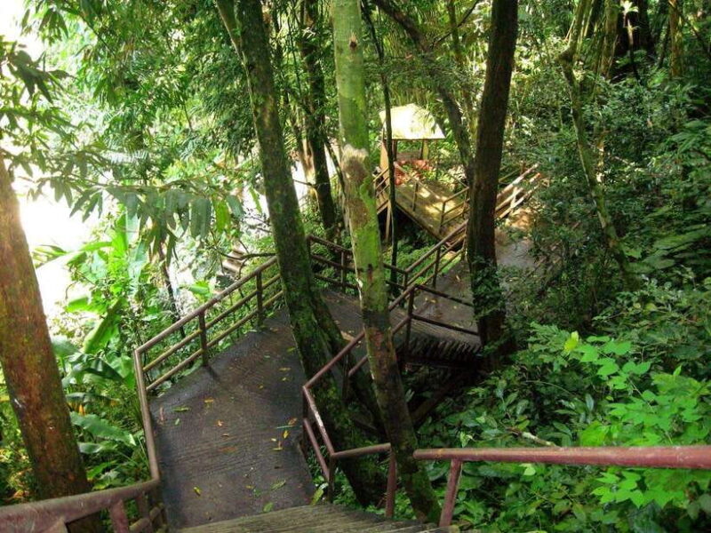 Khao Yai National Park: Waterfalls - Heaw narok & Heaw Suwat - Authentic Experiences and Genuine Highlights