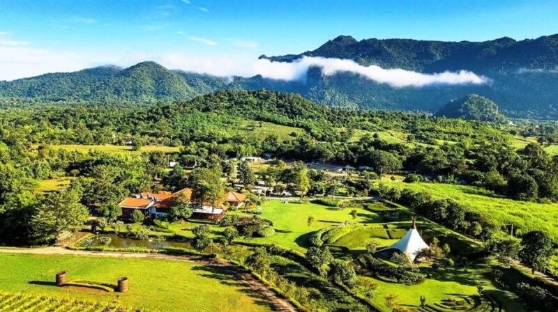 Khao Yai Vineyard Tasting Tour & Horse Farm Visit - Who Will Love This Tour?