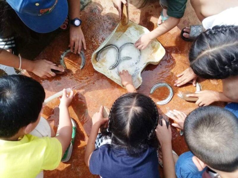 Khao Yai Vineyard Tasting Tour & Horse Farm Visit - Frequently Asked Questions