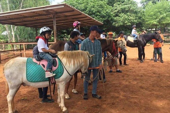 Khao Yai Winery - Vineyard Tours & Animal Lover with Horse Farm - Analyzing the Value