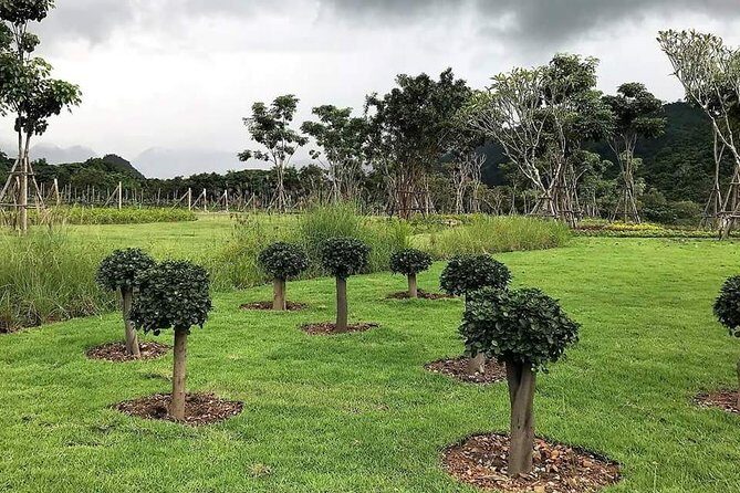 Khao Yai Winery - Vineyard Tours & Animal Lover with Horse Farm - Frequently Asked Questions